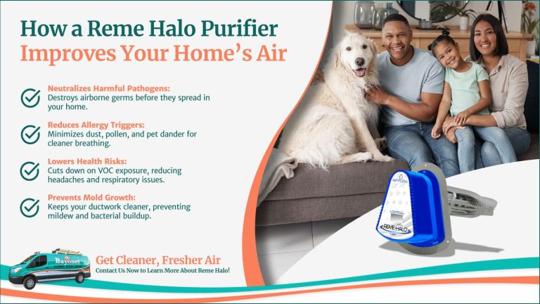 Why Your Home Needs a Reme Halo UV Air Purifier - Blog